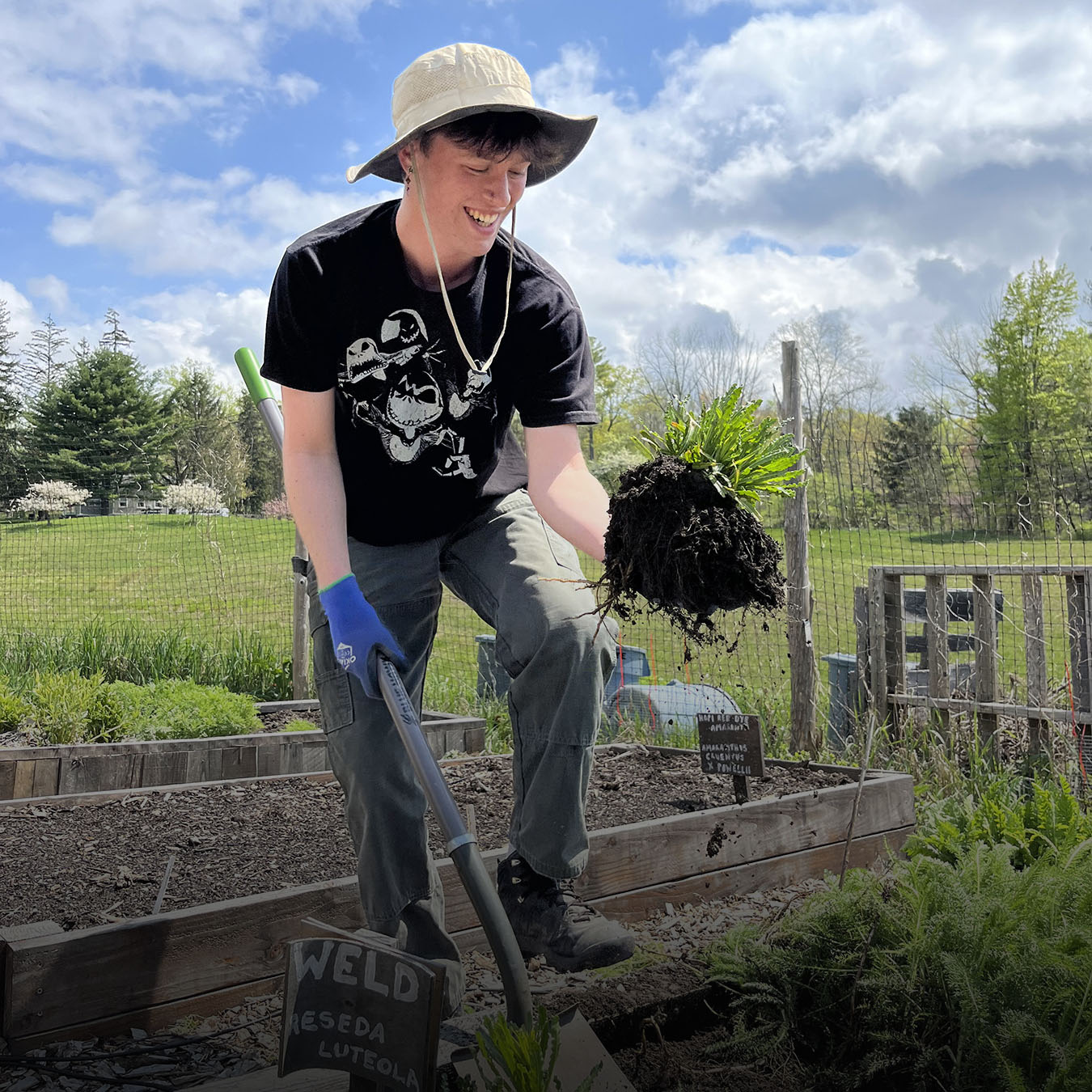 Bard Farm | Local Food - Culture - Farming